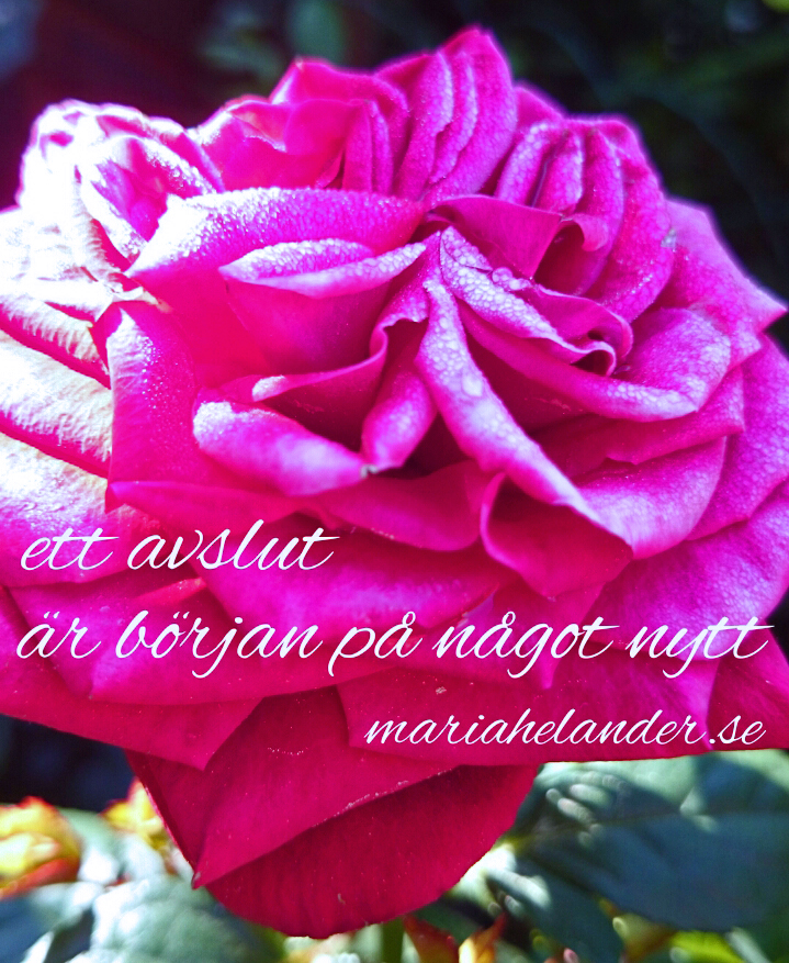 Vi avsluta och börjar om på nytt – Maria Helander