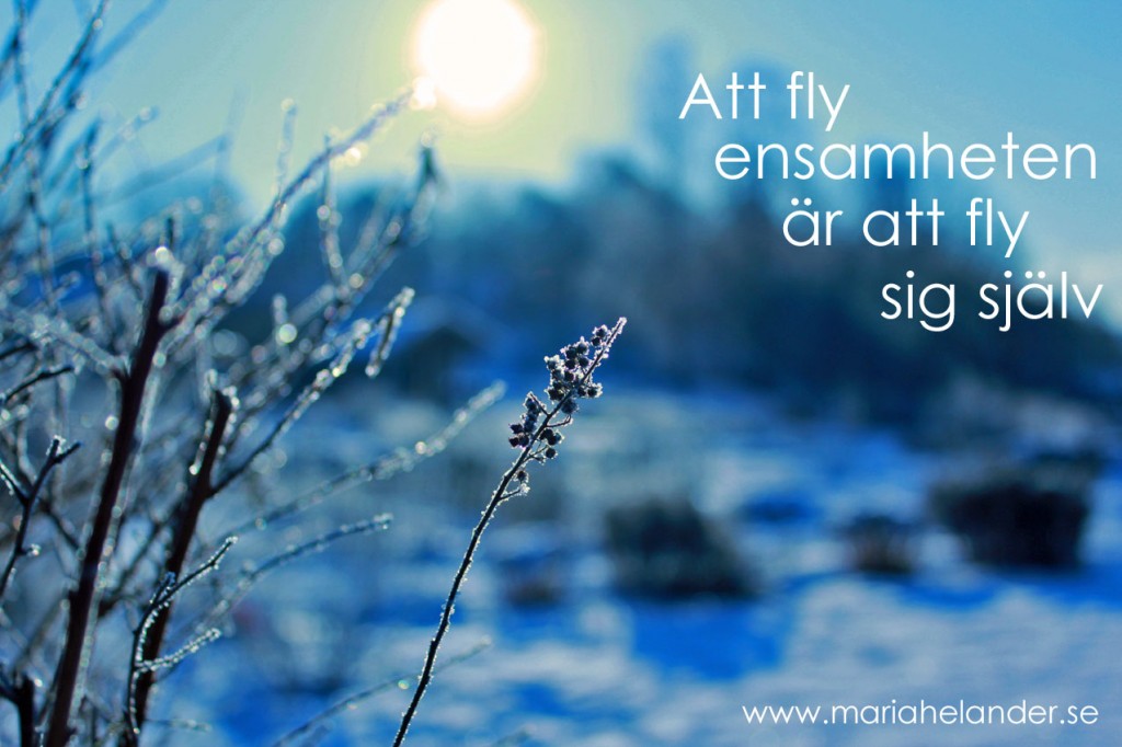 Bättre att bli vän med ensamheten, än att ständigt springa ifrån den ...