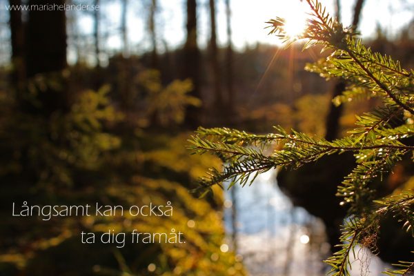 24 steg till en fridfull jul – Maria Helander