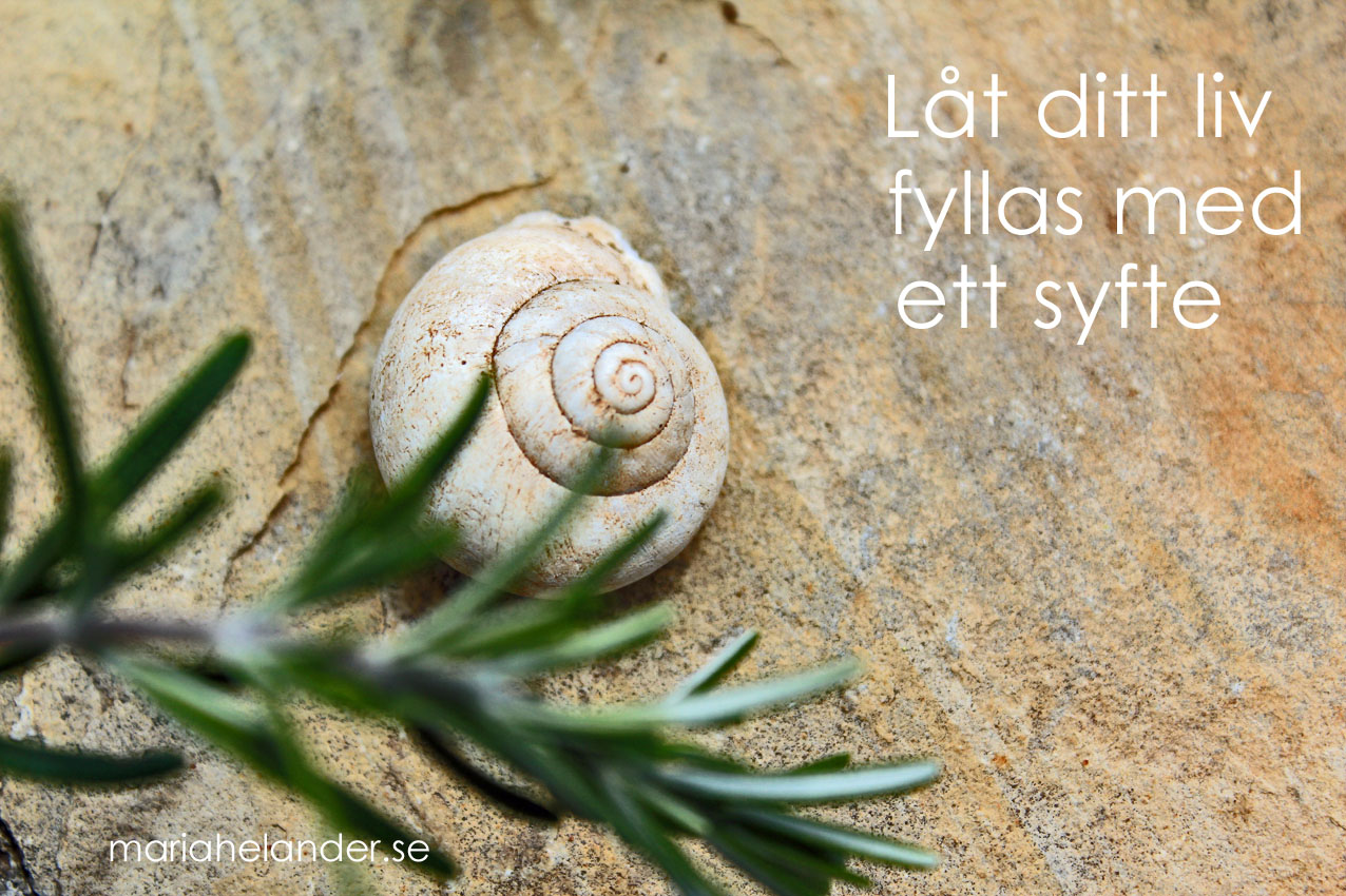 Tankar om livet på en ledig dag – Maria Helander